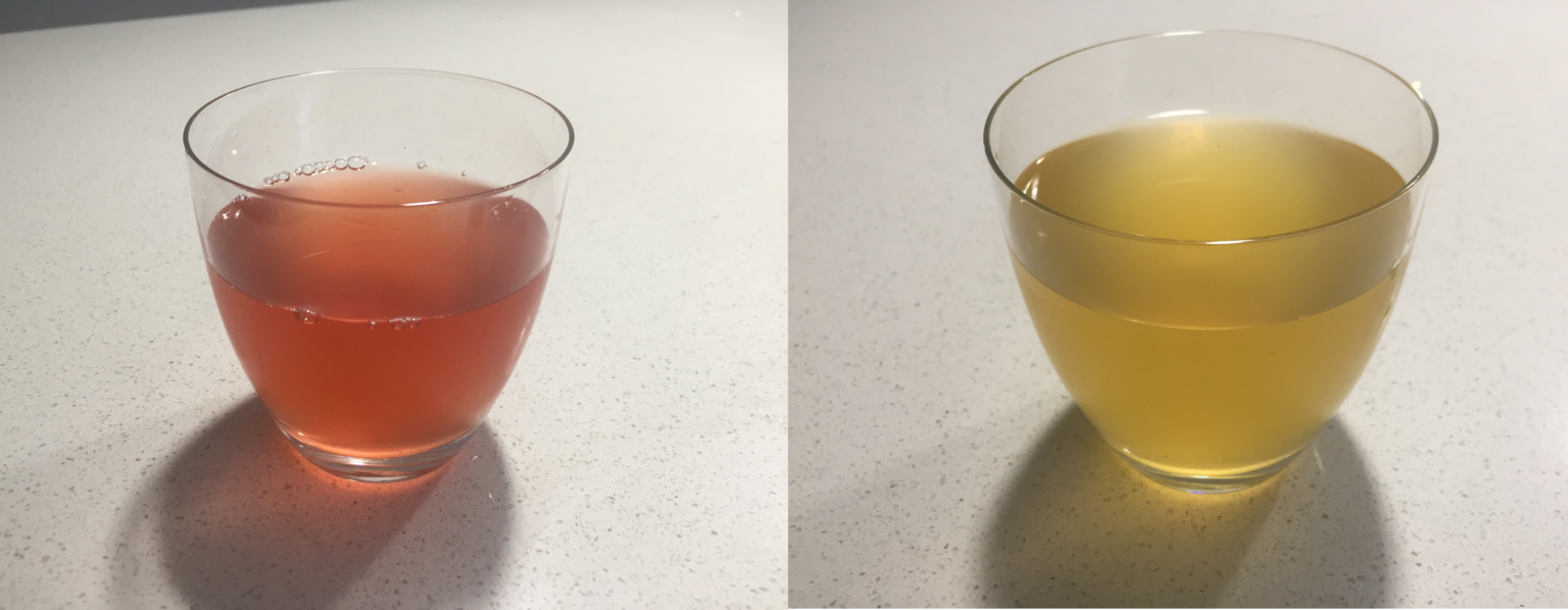 Kombucha 101: The Ultimate In-Depth Guide on Kombucha Brewing - Close ...